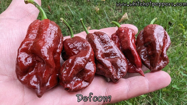 Defcon 7 - White Hot Peppers LLC